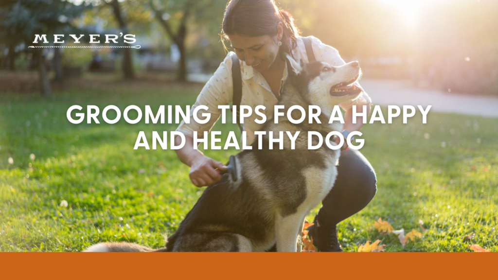 Grooming Tips - Meyer’s Pet Care